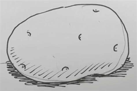 How To Draw Potato Cute Sweet With A Pencil And Plant