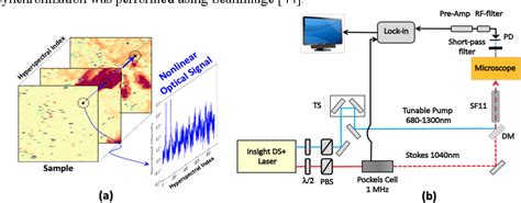Figure 1 From Unsupervised Hyperspectral Stimulated Raman Microscopy Image Enhancement