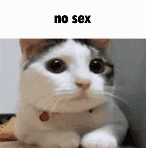 No Sex Meme No Sex Discover Share GIFs