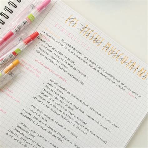 𝑷𝒊𝒏𝒕𝒆𝒓𝒆𝒔𝒕 𝒉𝒐𝒏𝒆𝒆𝒚𝒋𝒊𝒏 Study notes babe study tips Notes inspiration