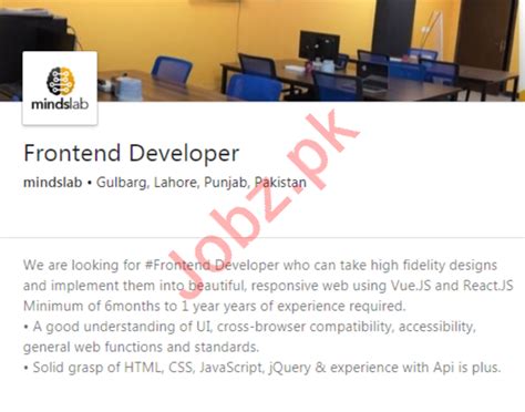 frontend developer job 2020 for lahore 2025 job advertisement pakistan