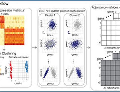 Comparative Evaluation Of Gene Set Analysis Approaches For Rna Seq Data Rna Seq Blog