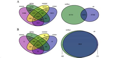 The Distribution Of Amplicon Sequence Variants Asvs Across Seasons
