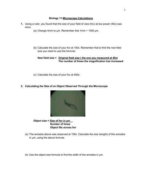 Microscope Calculations Worksheet — Db