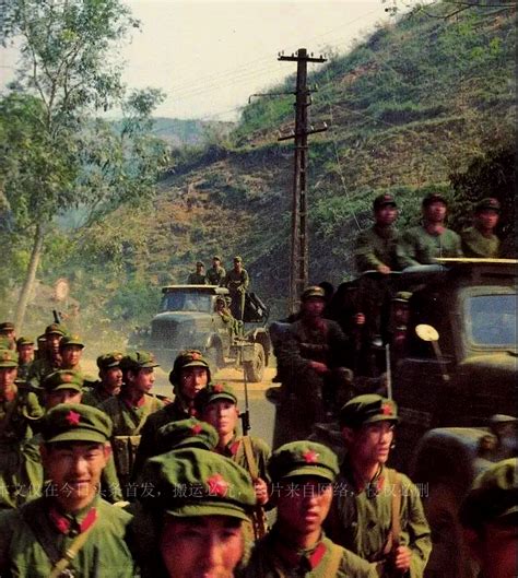 During The Battle Of Laoshan The Pla Instructor Was Captured And