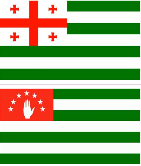 მივიღოთ აფხაზეთის დროშა თბილისის ფორუმი