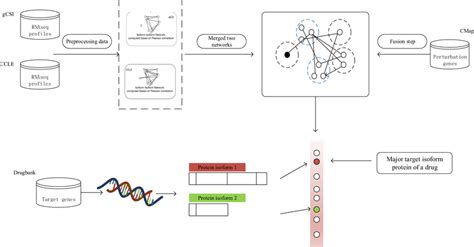 Pipeline For Target Major Isoform Prediction Identification Of The