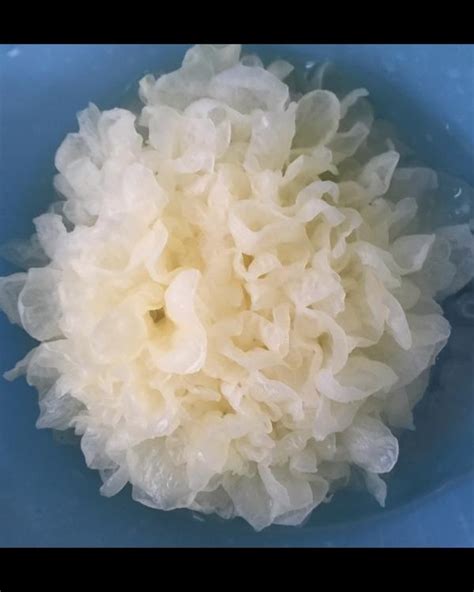 【百合红枣银耳汤图片】小芽儿呀下厨房