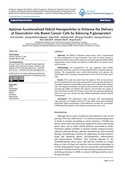 Pdf Aptamer Functionalized Hybrid Nanoparticles To Enhance The Delivery Of Doxorubicin Into