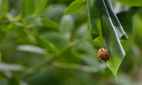 Perancangan Aplikasi Manajemen Events Berbasis Web Menggunakan Laravel Dan Sql