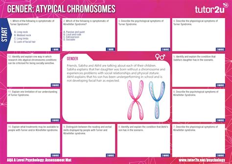 Atypical Chromosomes Aqa A Level Psychology Assessment Mat Exams Up