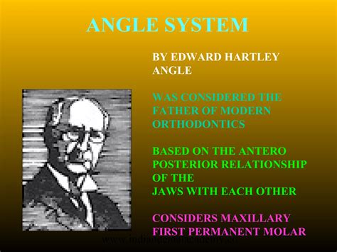 Classification Of Malocclusion In Orthodontics Certified Fixed