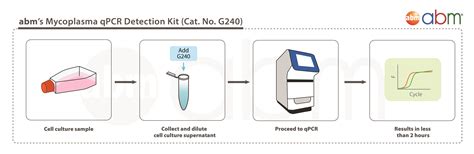 Mycoplasma Qpcr Detection Kit Applied Biological Materials Inc
