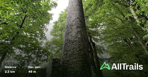 Kelly Bray Circular Cornwall England 25 Reviews Map Alltrails