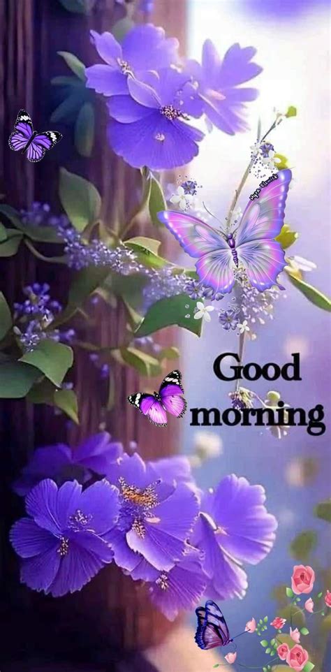 Good Morning Butterflies Good Morning Beautiful  Happy Morning