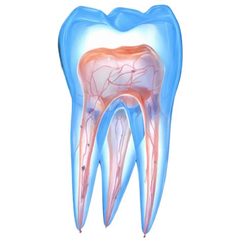 Чистка каналов зубов в Москве: цены от 22 080 рублей