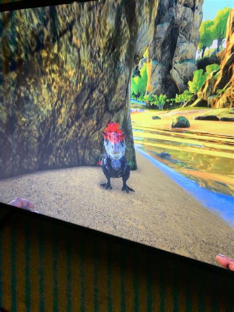 My First Ever Mutation R Ark