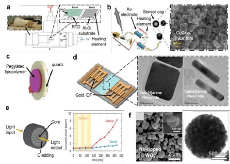 A Chemiresistive Gas Sensor Based On Wo3 Sensing Layer To Diagnosis Download Scientific
