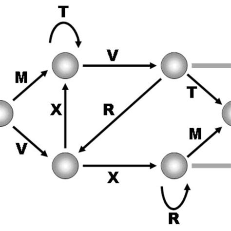 A Finite State Grammar Used To Generate Stimuli For Artificial Grammar Download Scientific