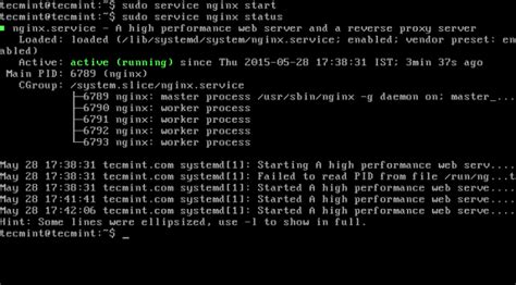 Setting Up LEMP Linux Nginx MySQL MariaDB PHP And PhpMyAdmin On Ubuntu Server