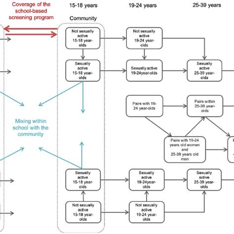Model Demographics Sexual Behavior And Partnership Formation Download Scientific Diagram