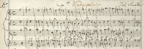 Basso Continuo In Italy Sources Pedagogy And Performance Applied Musicology Basso Continuo In Italy Sources Pedagogy And Performance Applied Musicology