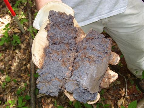 Soil Classification Jordan Engineering