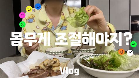 Vlog 때가 왔다 입맛에 자물쇠를 채울 때가 살짝 몸무게 조절 해보자고 다이어트 일상 브이로그 샌드위치 제비추리 무쌈 참치오이비빔밥 불닭계란