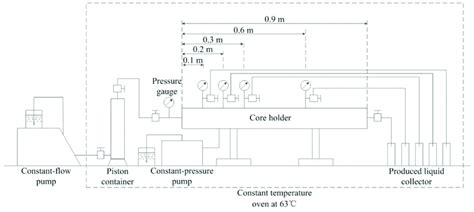 experiment process diagram download scientific diagram