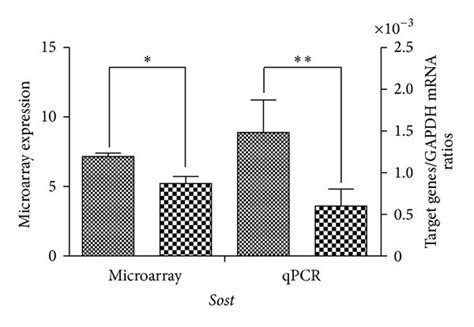 validation of 6 differential expression genes identified by microarray