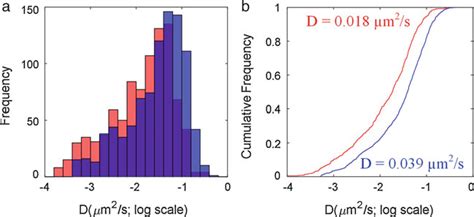 Visualization Of The Diffusion Coefficient Distributions In Matlab A