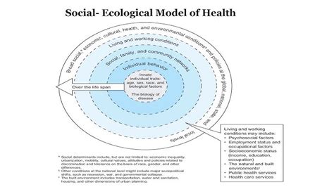 Social Ecological Model Individual Levels