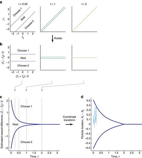 optimal decision boundaries computed numerically by dp a the