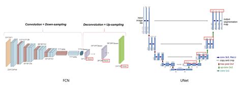 논문 리뷰 U Net Convolutional Networks for Biomedical Image Segmentation