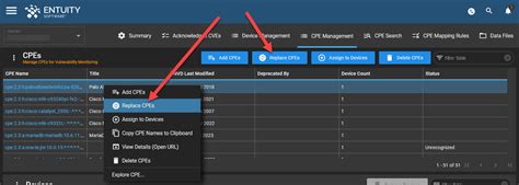 Vulnerability Monitoring Cpe Management Entuity