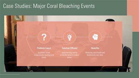 Case Studies Major Coral Bleaching Events Ppt Template St Ai Ss Ppt