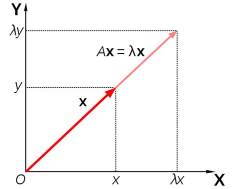 eigenvalues and eigenvectors department of mathematics at utsa