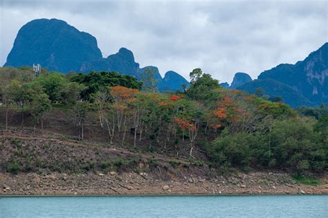 비가 오는 계절에는 비가 내리는 안개와 흐린 하늘이 있는 산의 경치 0명에 대한 스톡 사진 및 기타 이미지 0명 강 경관 Istock