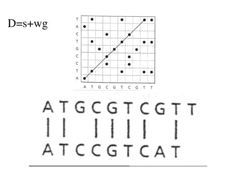 Ppt General Nucleic Acid Sequence Databases Powerpoint Presentation