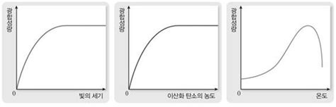 미래엔 엠티처