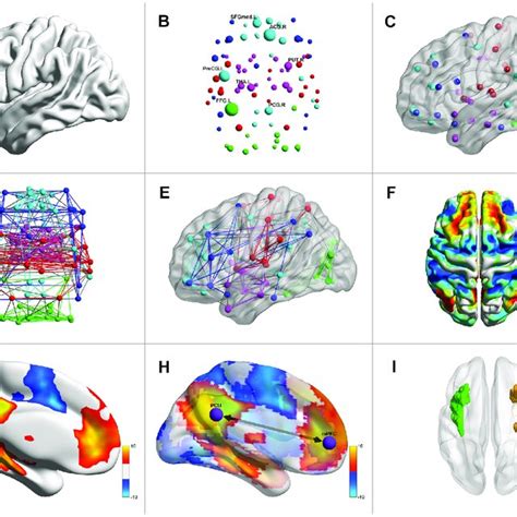 Pdf Brainnet Viewer A Network Visualization Tool For Human Brain Connectomics