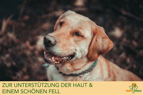 Schwarzkümmelöl 10 Kokoksöl 100 Ml Schwarzkümmelöl Für Hunde
