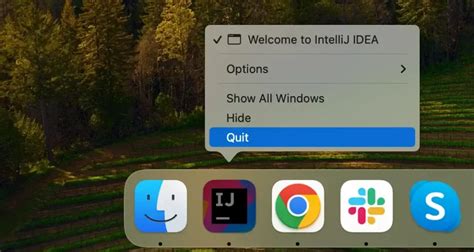 How To Uninstall Intellij On Mac Ultimate Guide