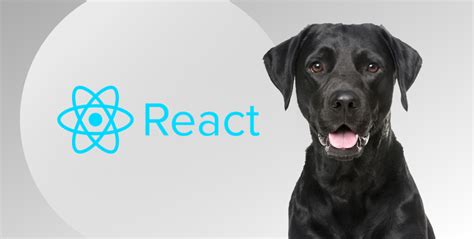 Exploring Difference Between Angularjs And Reactjs
