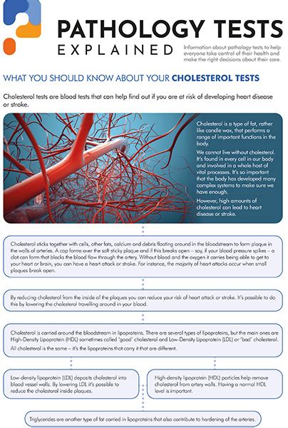 Cholesterol Pathology Tests Explained
