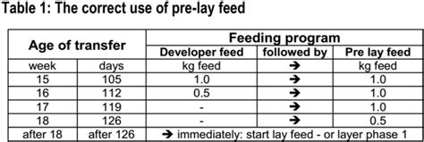 How To Feed Layers Until 100 Weeks A Practical Approach Engormix
