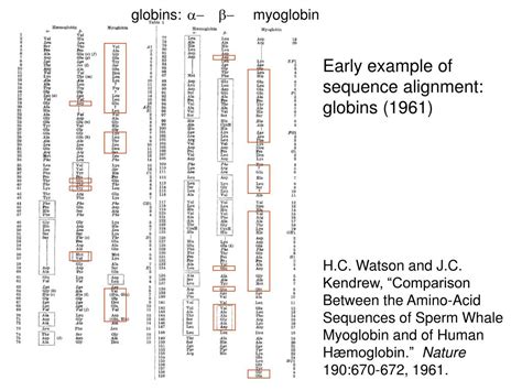 PPT Pairwise Sequence Alignment PowerPoint Presentation Free Download ID