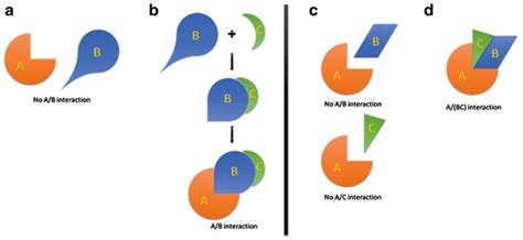 Yeast Three Hybrid System For The Detection Of Protein Protein Interactions Springerlink