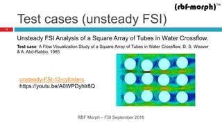 RBF Morph FSI Features PPT