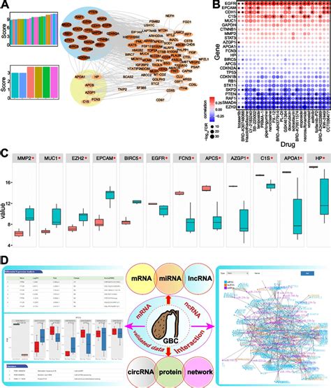 A Primary Analysis Of Experimentally Supported Gbc Associated Proteins